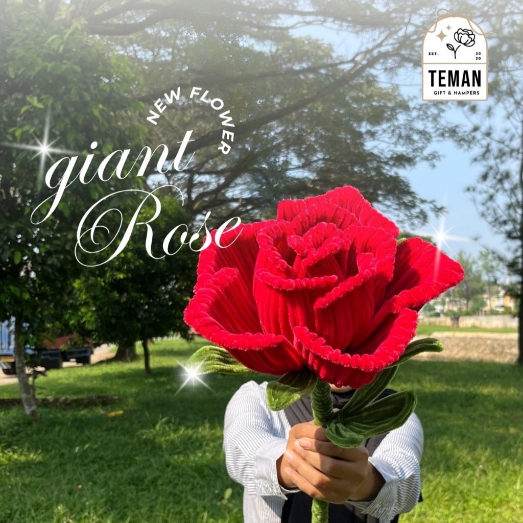 Jual Giant Rose || Pipe Cleaner | Shopee Indonesia