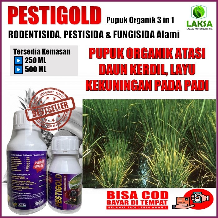 Jual EFEKTIF Pupuk Organik Atasi Kuning kerdil, Layu kekuningan tanaman ...