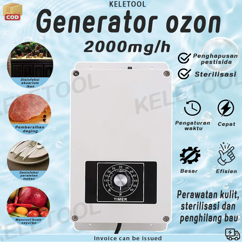 Jual 220V 2000mg Ozon Generator Pemurni Air Steriliser o3 Ozon Tabung ...