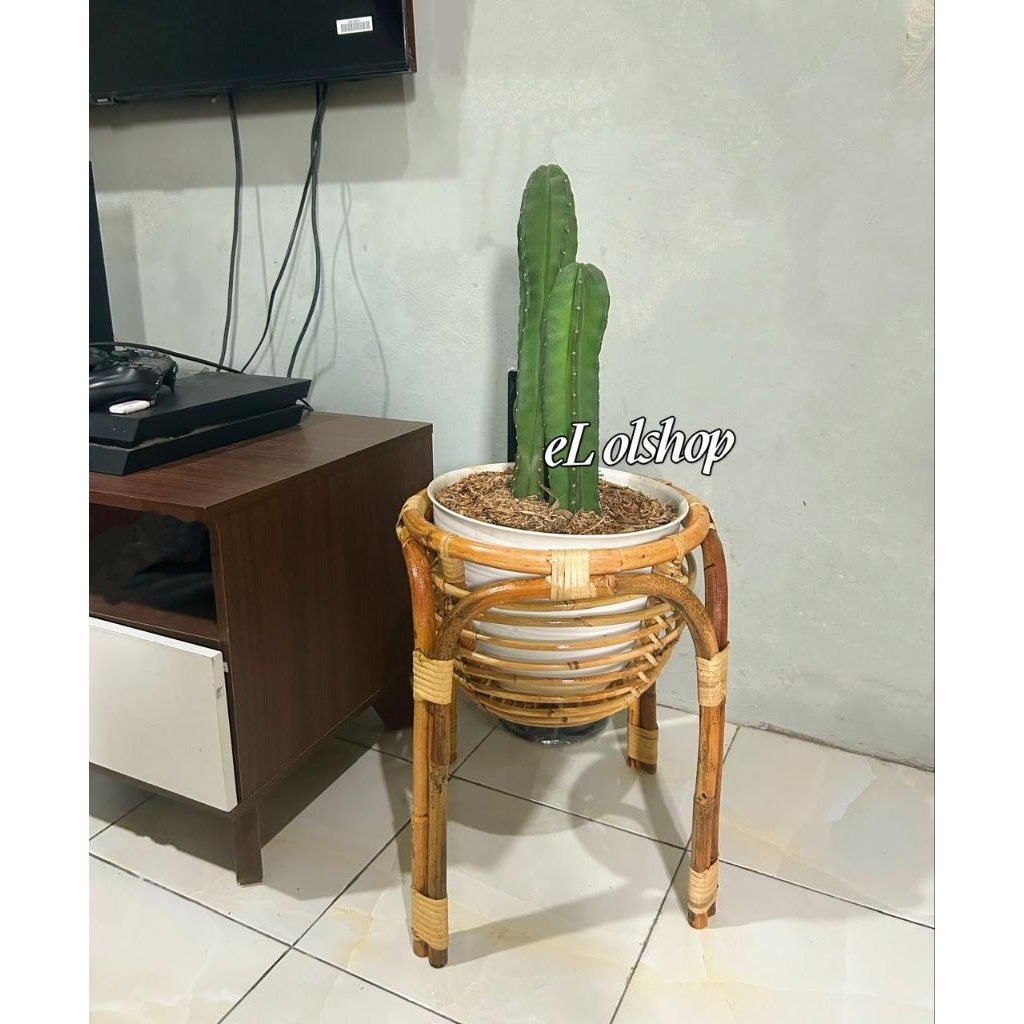 Jual Standing Pot Rotan Tempat Pot | Shopee Indonesia