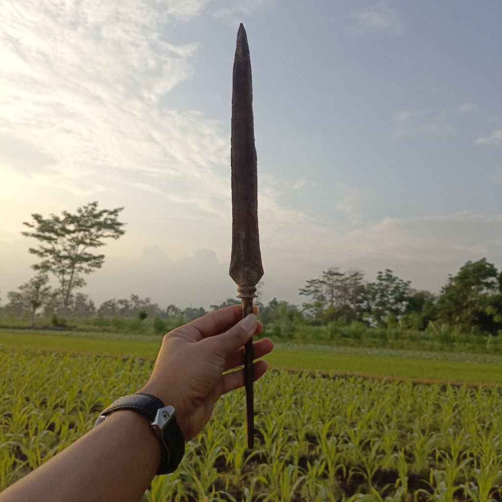 Jual biring lanang jumbo | Shopee Indonesia