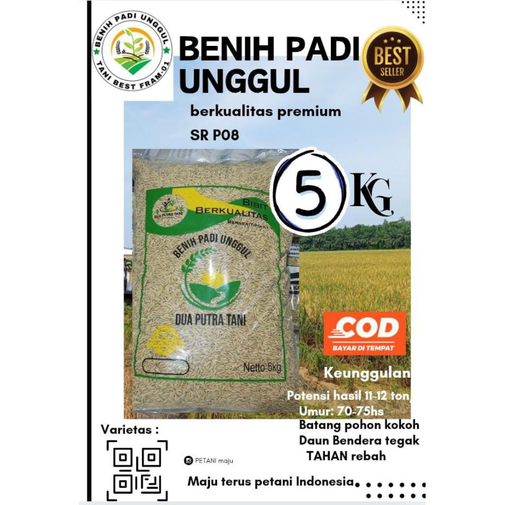 Jual BENIH PADI SR P08 ULTRA GENJAH SUPER UNGGUL 5KG | Shopee Indonesia