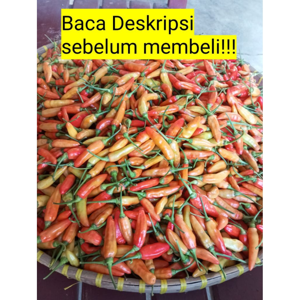 Jual Cabe rawit merah Ori / Caplak fresh 1kg | Shopee Indonesia