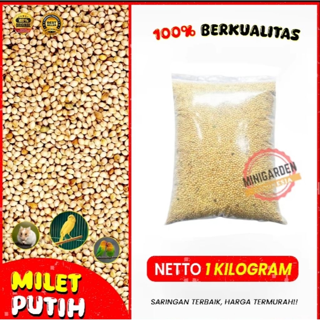 Jual Milet Putih 1Kg Pakan Makanan Burung Lovebird Canary Perkutut ...