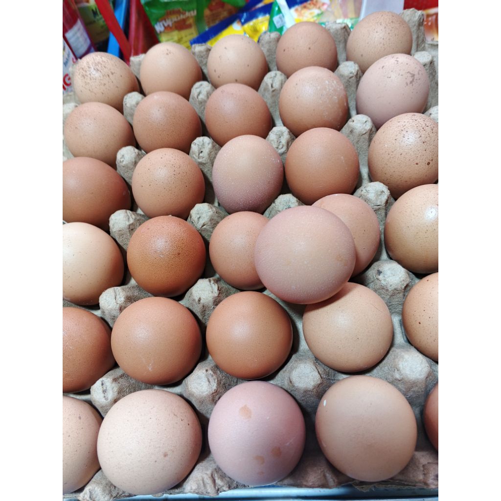 Jual telur ayam negeri 1 rak | Shopee Indonesia