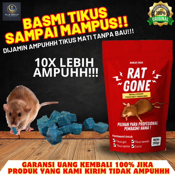 Jual FAJR RATGONE RACUN TIKUS | UMPAN PEMBASMI TIKUS | OBAT ANTI TIKUS ...