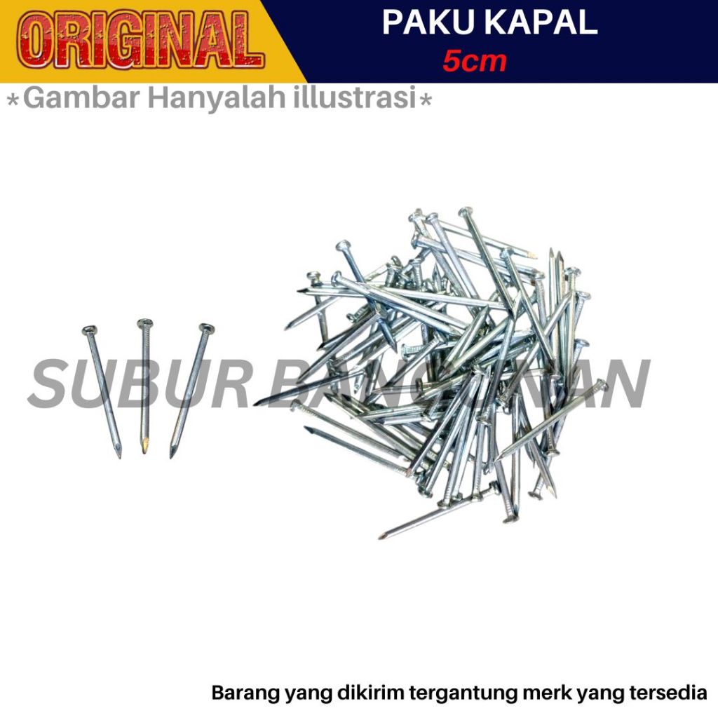 Jual PAKU KAPAL - PAKU ULIN - PAKU PUTIH - 5CM /KG | Shopee Indonesia