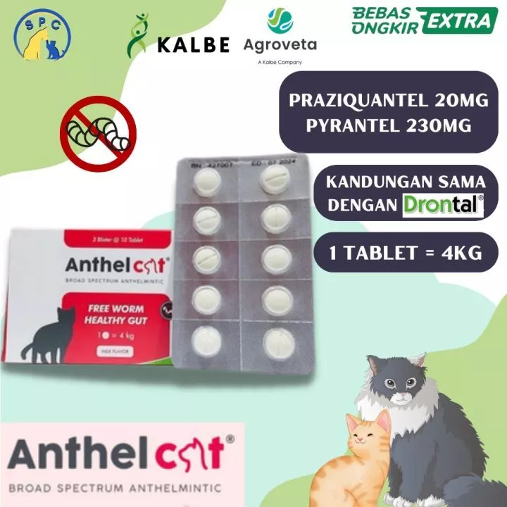 Jual Anthel Cat Per 1 Tablet / 1Butir - Obat Cacing Kucing ORIGINAL by ...