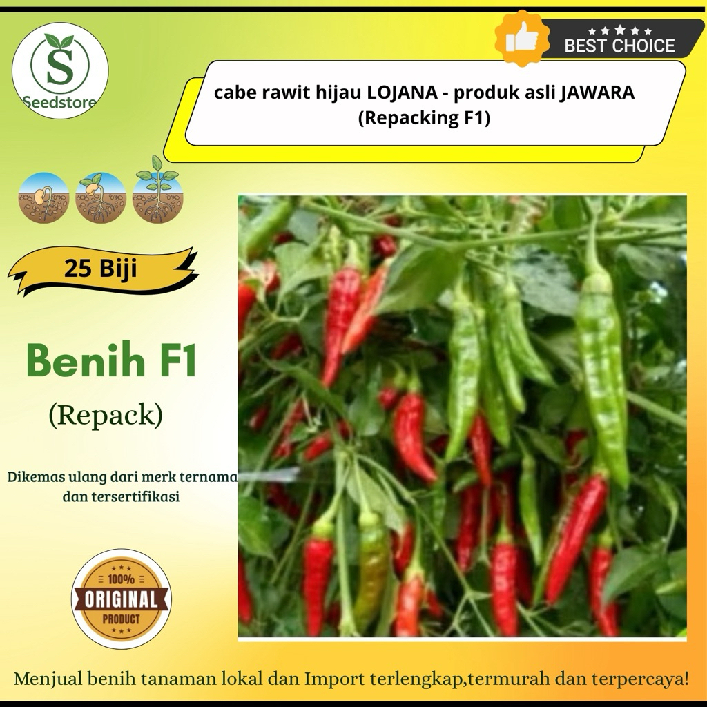 Jual PAKET isi 25 Benih Biji bibit cabe rawit hijau LOJANA - produk ...