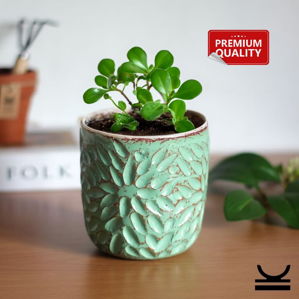 Jual (CR30) Pot Gerabah | Pot Terakota | Pot Tanah Liat | Pot Tanaman ...