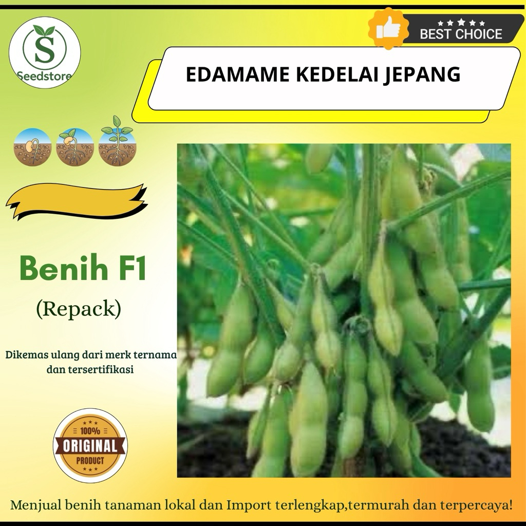 Jual 25 BENIH KEDELAI EDAMAME (KEDELAI JEPANG) | Shopee Indonesia