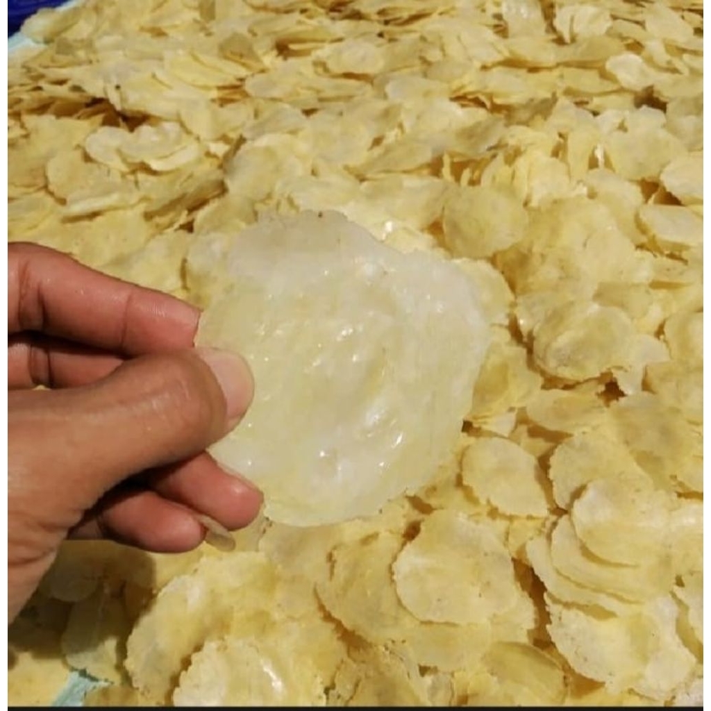 Jual emping Melinjo Mentah Super Original 1Kg ( promo) khas Mancak ...