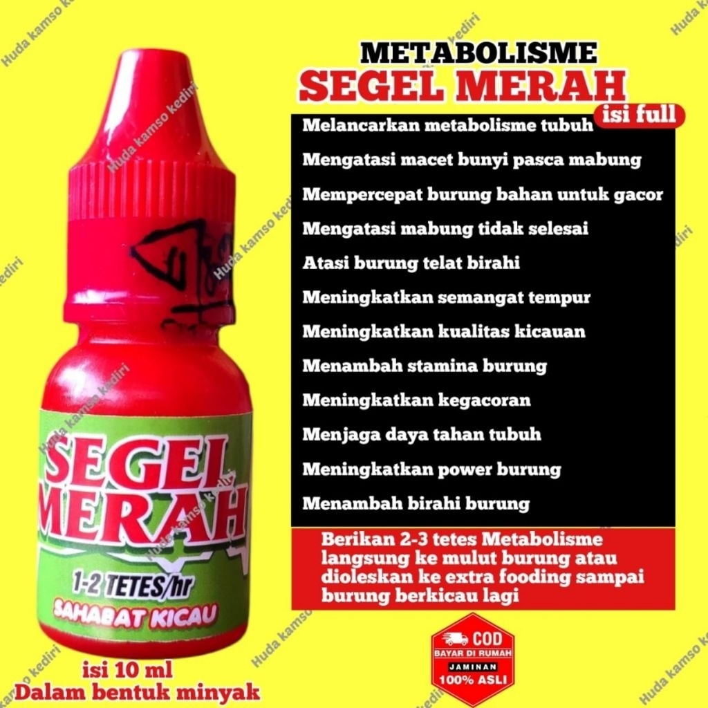 Jual SEGEL MERAH METABOLISME + metabolisme + METABOLISME High ...