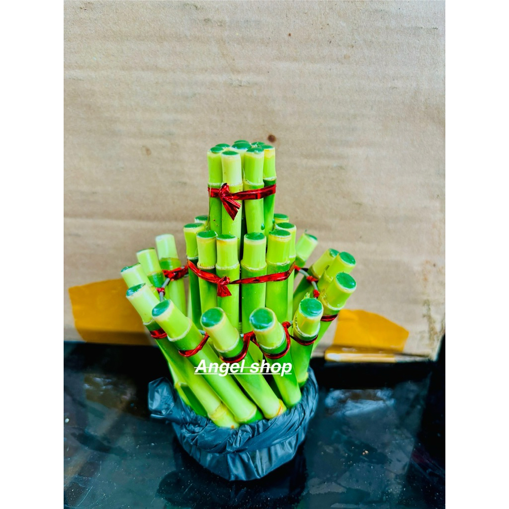 Jual Bambu Hoki/Bambu Rezeki Berbagai Bentuk | Shopee Indonesia
