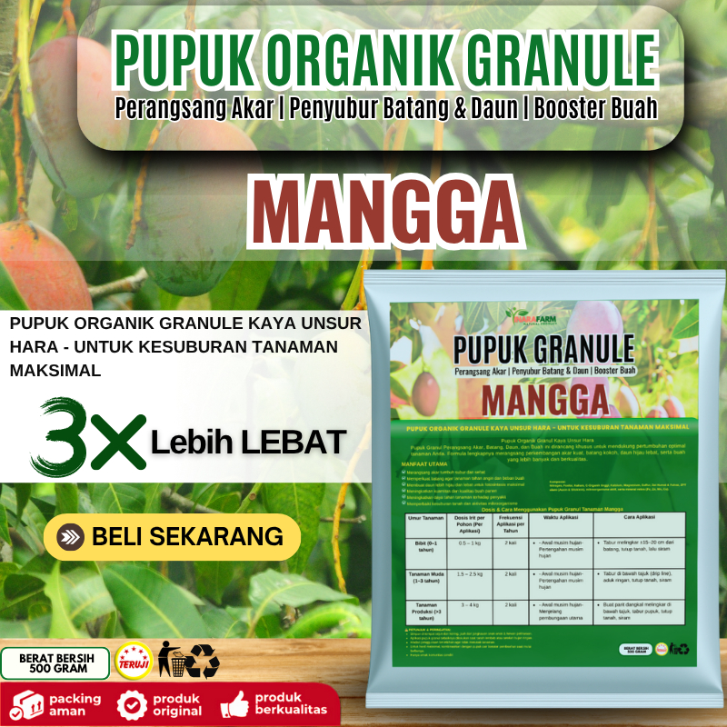 Jual Pupuk penyubur tanah dan tanaman mangga/Pupuk booster pelebat buah mangga/Pupuk cair mangga ...
