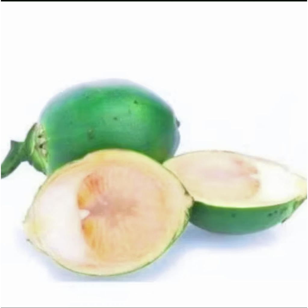 Jual Buah Pinang Muda Isi 1kg | Shopee Indonesia