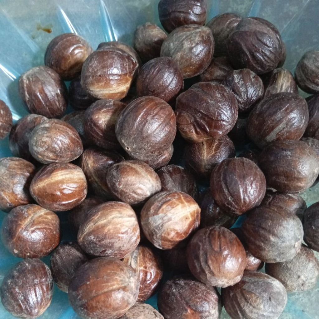 Jual BIJI PALA KERING UTUH | Shopee Indonesia