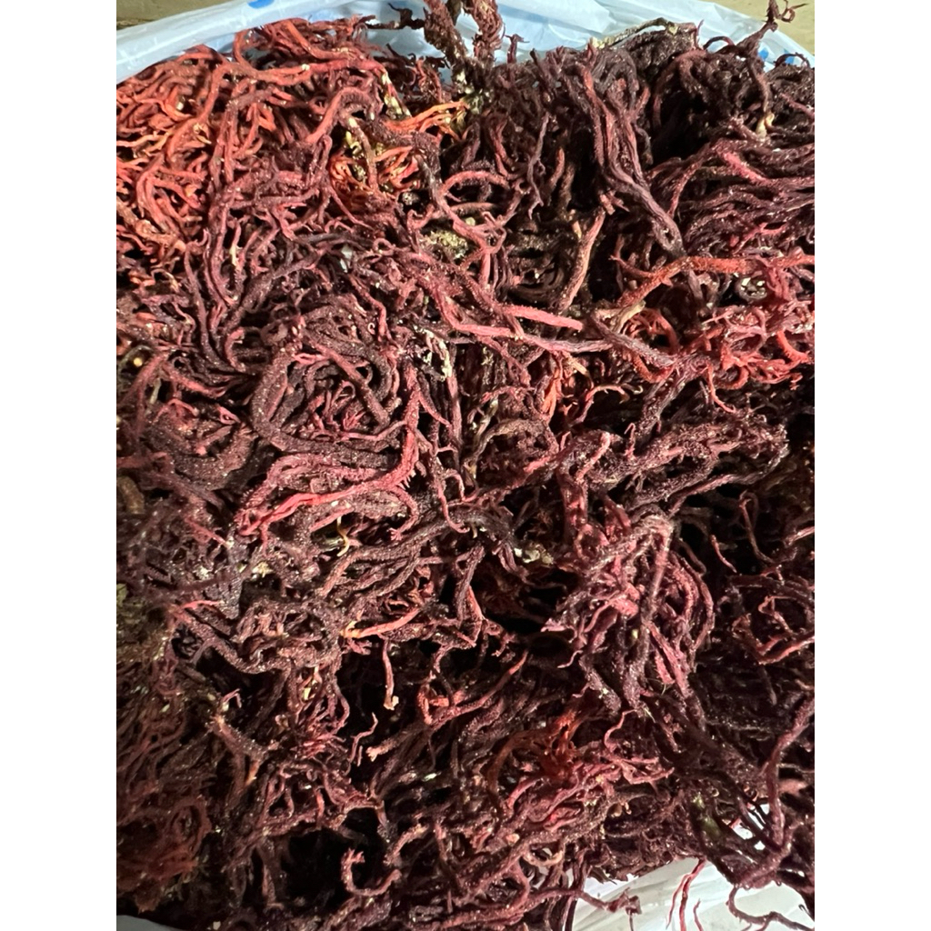 Jual Rumput Laut Merah Kering 100 gram Euchema Cottoni untuk pembuatan ...