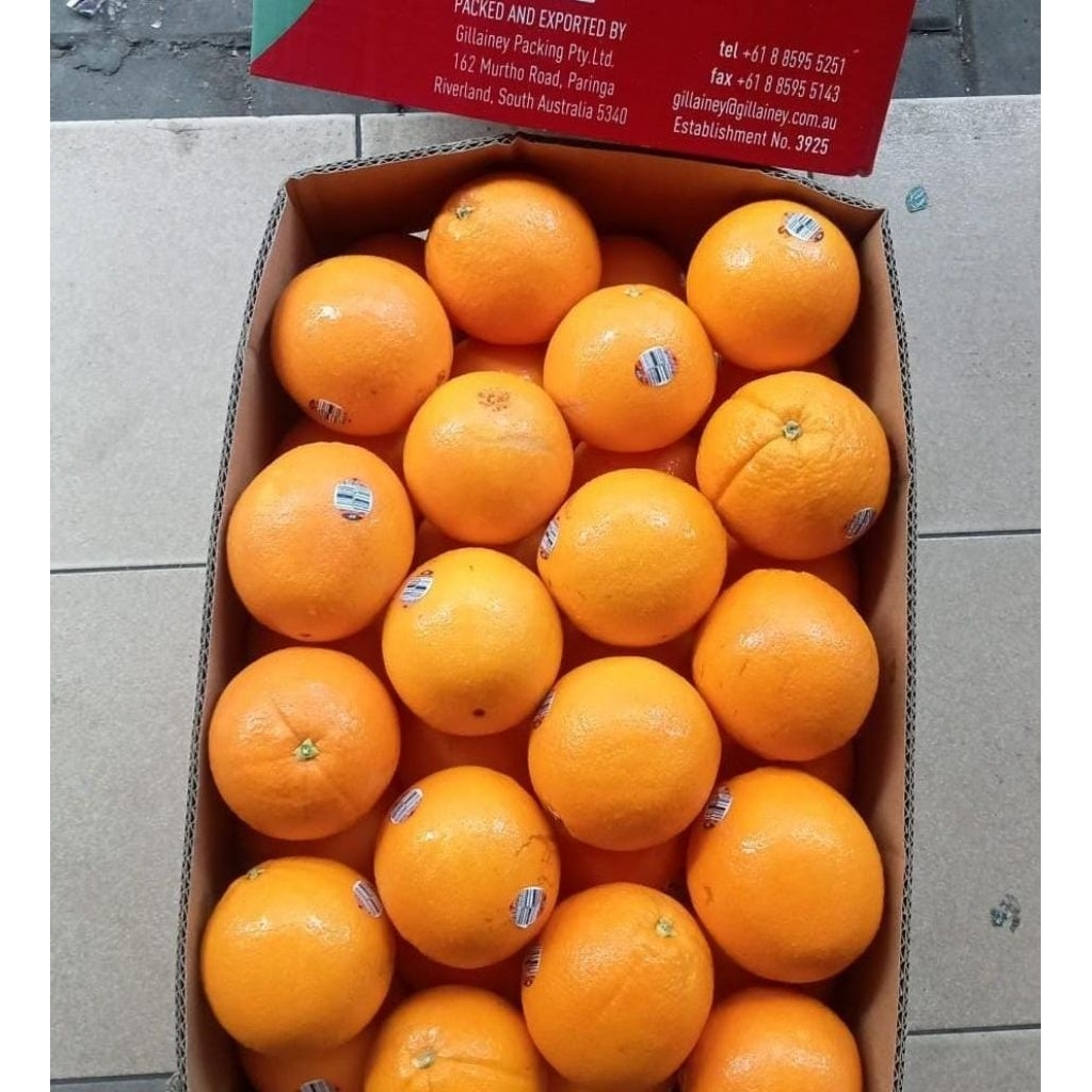 Jual Indukbuah Buah Jeruk Sunkist Navel Australia Manis 1 Dus | Shopee Indonesia