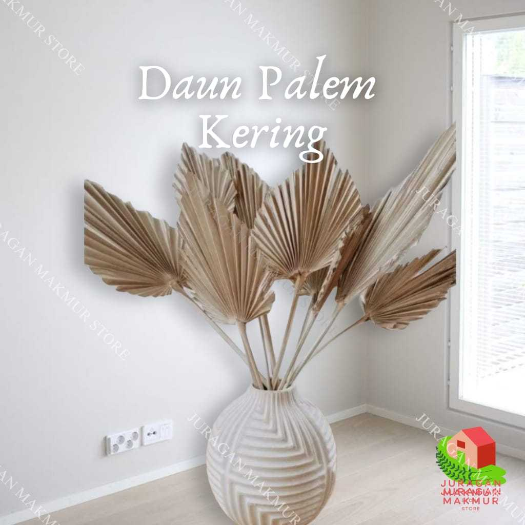 Jual 3 PCS DAUN PALEM KERING TEBAL GOLD DAN NATURAL DRIED FLOWER PALEM ...
