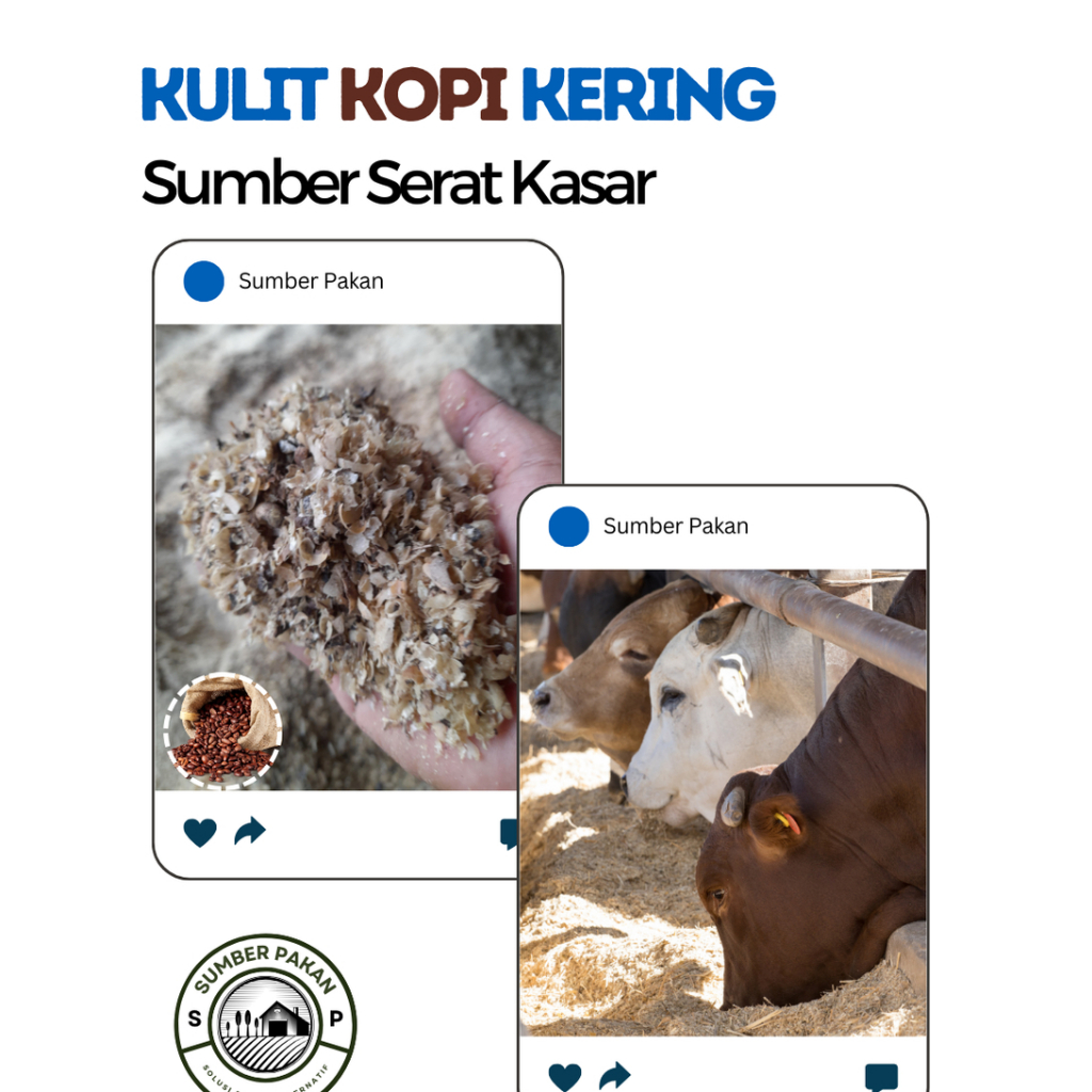 Jual Kulit Kopi Kering Sumber Serat Pakan Ternak Sapi Kambing Domba ...