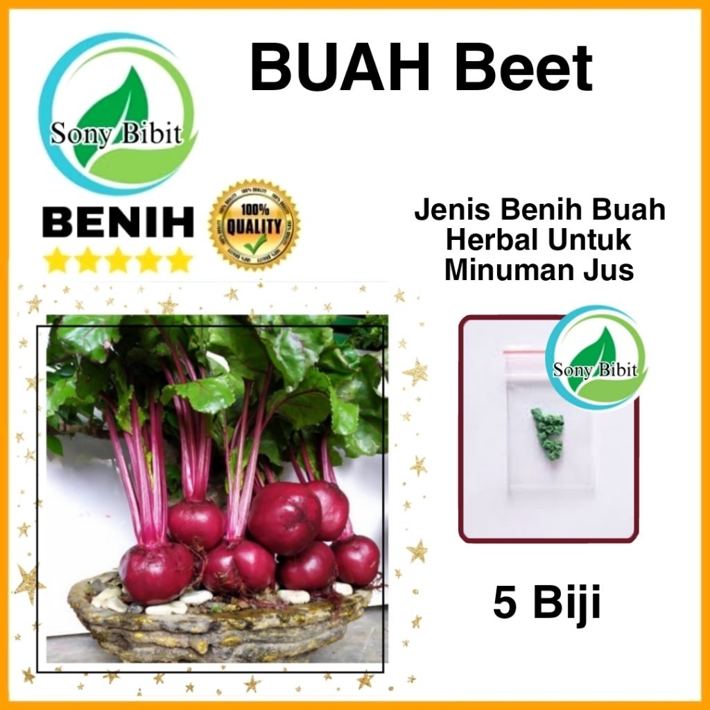 Jual 5 Biji Benih Buah Beet Kemasan Ekonomis | Shopee Indonesia