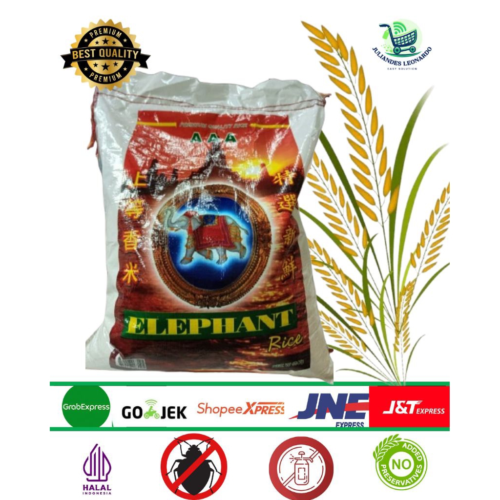 Jual [TERMURAH] Beras Thailand merk Elephant 5kg, 10kg, 20kg | Shopee ...