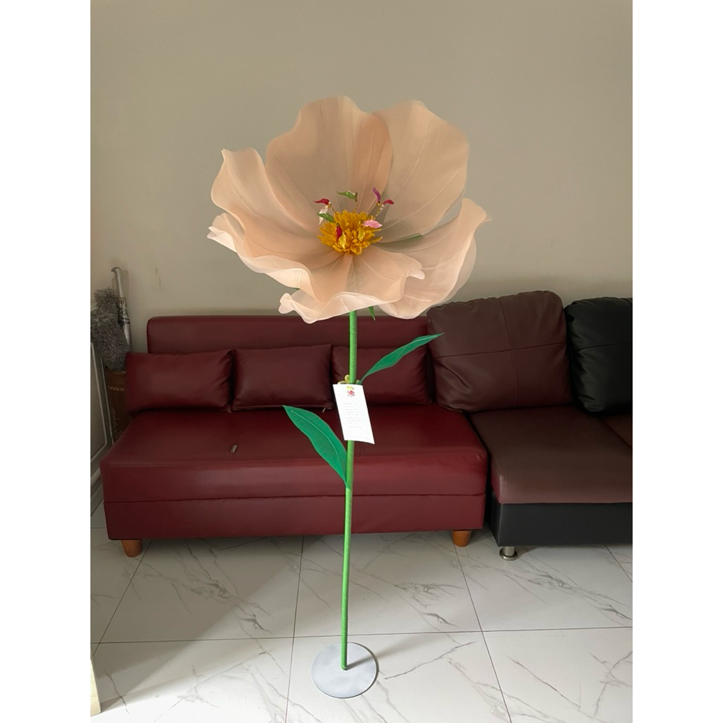 Jual READY | Bunga Grand Opening / Wisuda / Hadiah | 1 Tangkai Giant ...