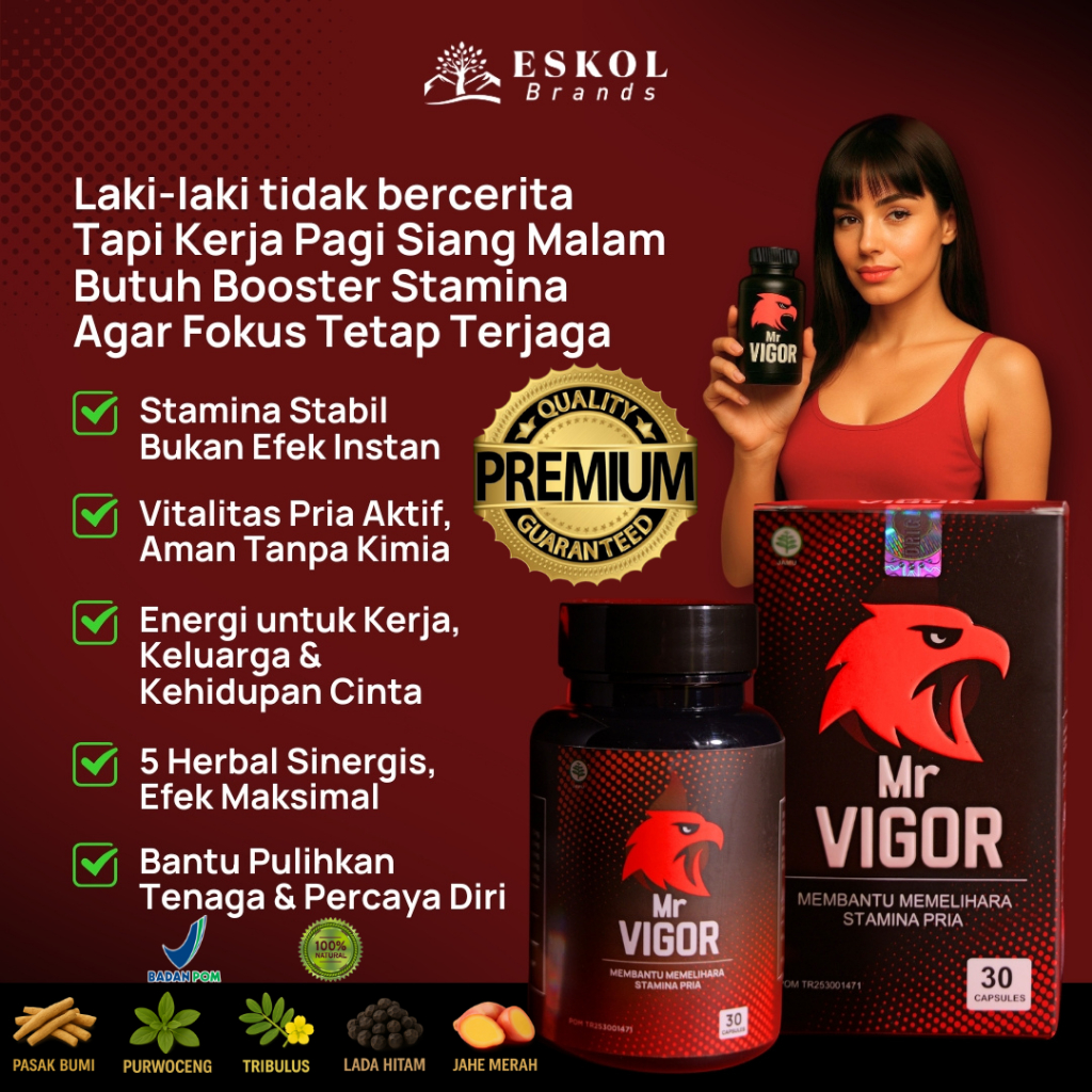 Jual MR VIGOR Obat Kuat Pria Herbal Kapsul Tahan Lama, Memelihara ...