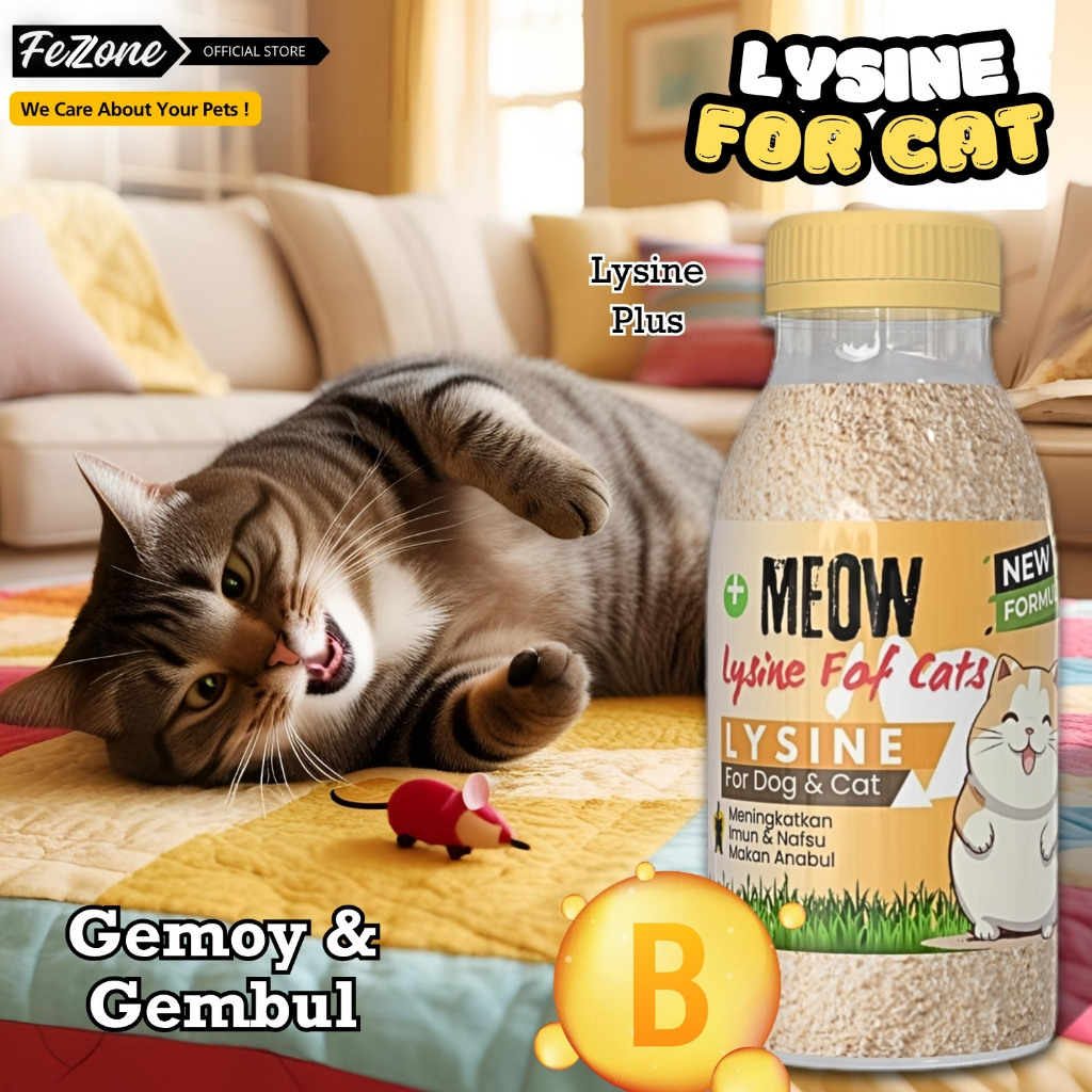 Jual LYSINE Meow dan 50 gram LISIN LYSIN LISINE LEUSIN SUPLEMEN VITAMIN ...