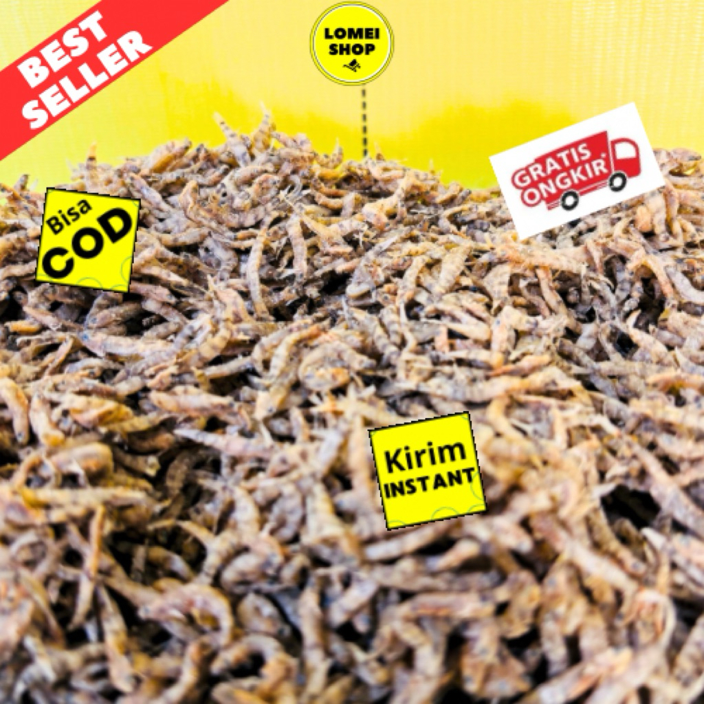 Jual IKAN PENJA / IKAN DUO / IKAN NIKE / IKAN ASIN / IKAN SERIBU / IKAN ...