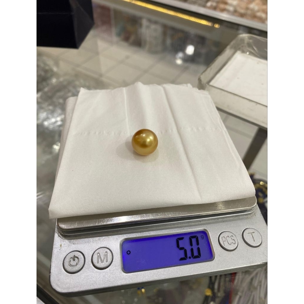 Jual butiran mutiara laut gold matang jumbo langka 15mm lengkap ...