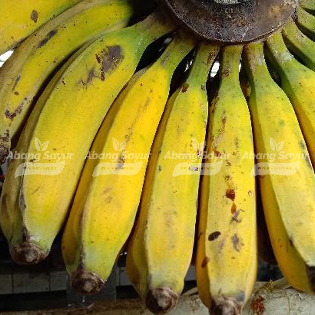 Jual Pisang Raja Bulu 1kg - Manis Wangi Kirim Instant Bandung - Cocok ...