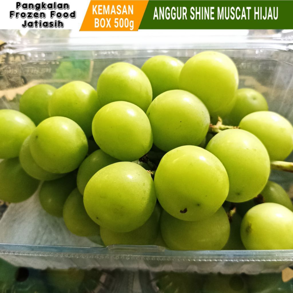 Jual Buah Anggur I Shine Muscat Hijau I Anggur Manis I Kemasan Box 500g ...
