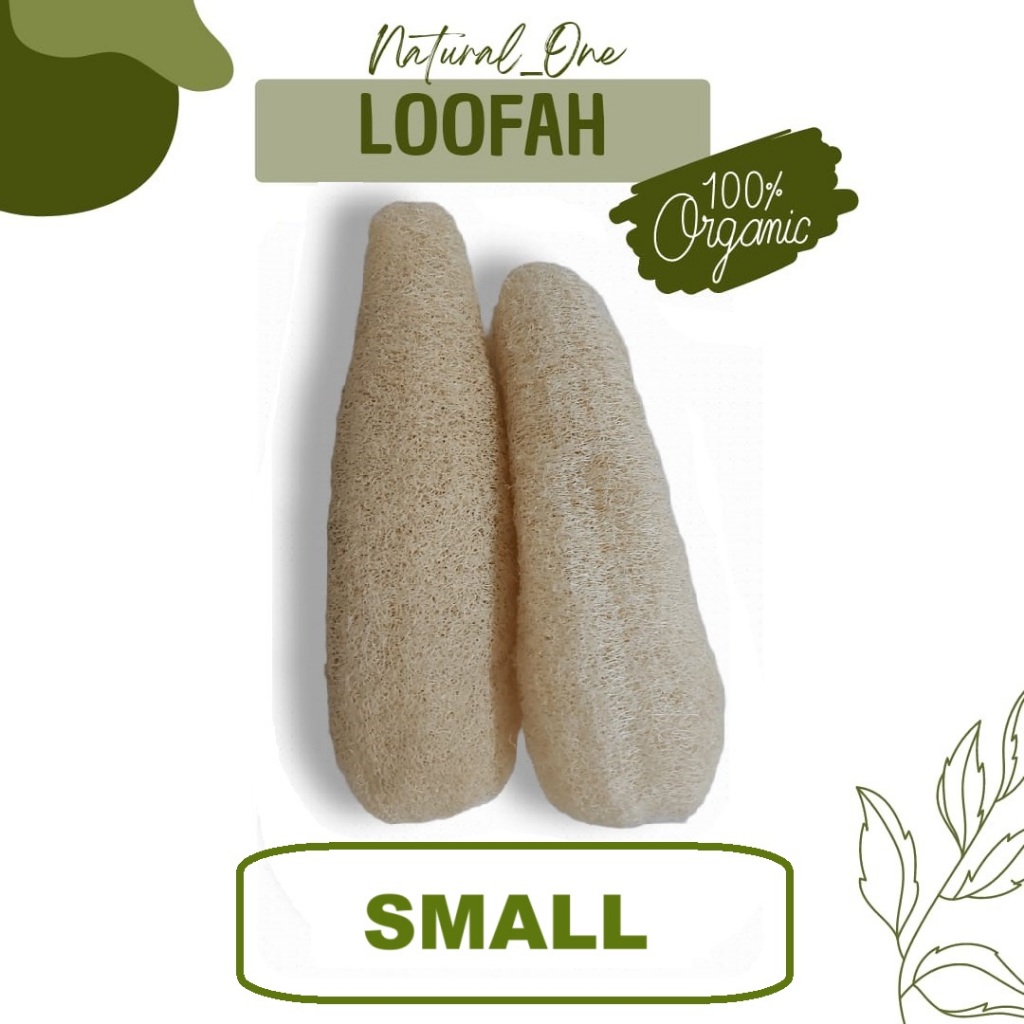 Jual Loofah (SMALL 17-20cm),gambas,oyong,blustru Sponge Organik 100% ...
