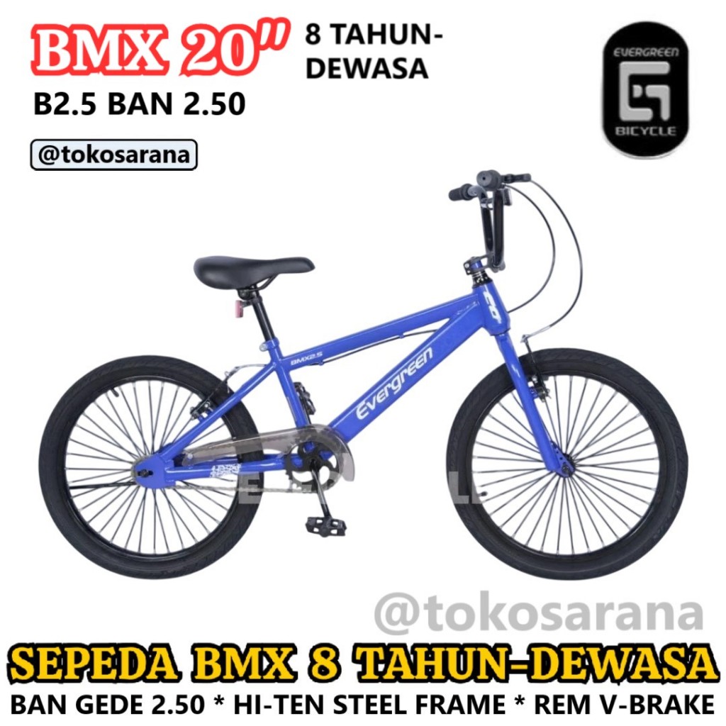 Jual Sepeda BMX Evergreen B20 B25 Classic Remaja-Dewasa 20 Inci Steel OPC Crank Gear Ratio 28T ...