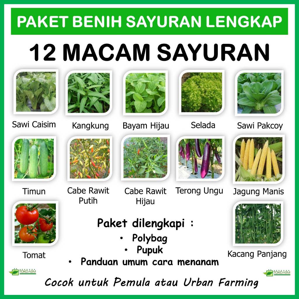 Jual Paket Benih Sayuran 12 Macam Biji Bibit Sayuran Lengkap Polybag ...