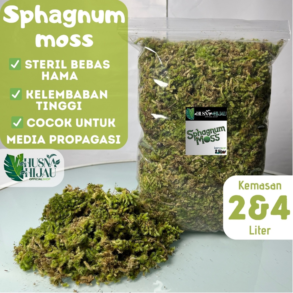 Jual SPHAGNUM MOSS, kemasan 2&4 liter lumut hidup hutan pinus, Lumut ...