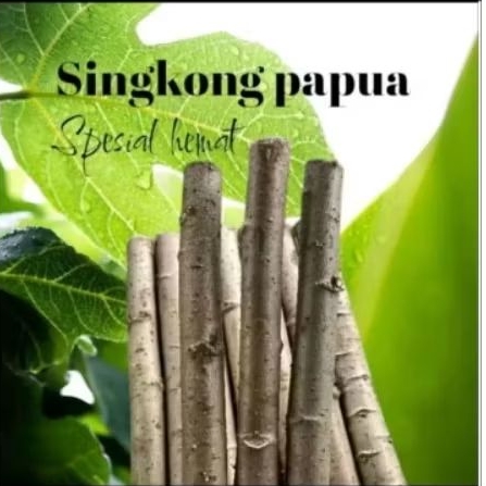 Jual Bibit Singkong telo papua- Isi 15 Batang siap tanam | Shopee Indonesia