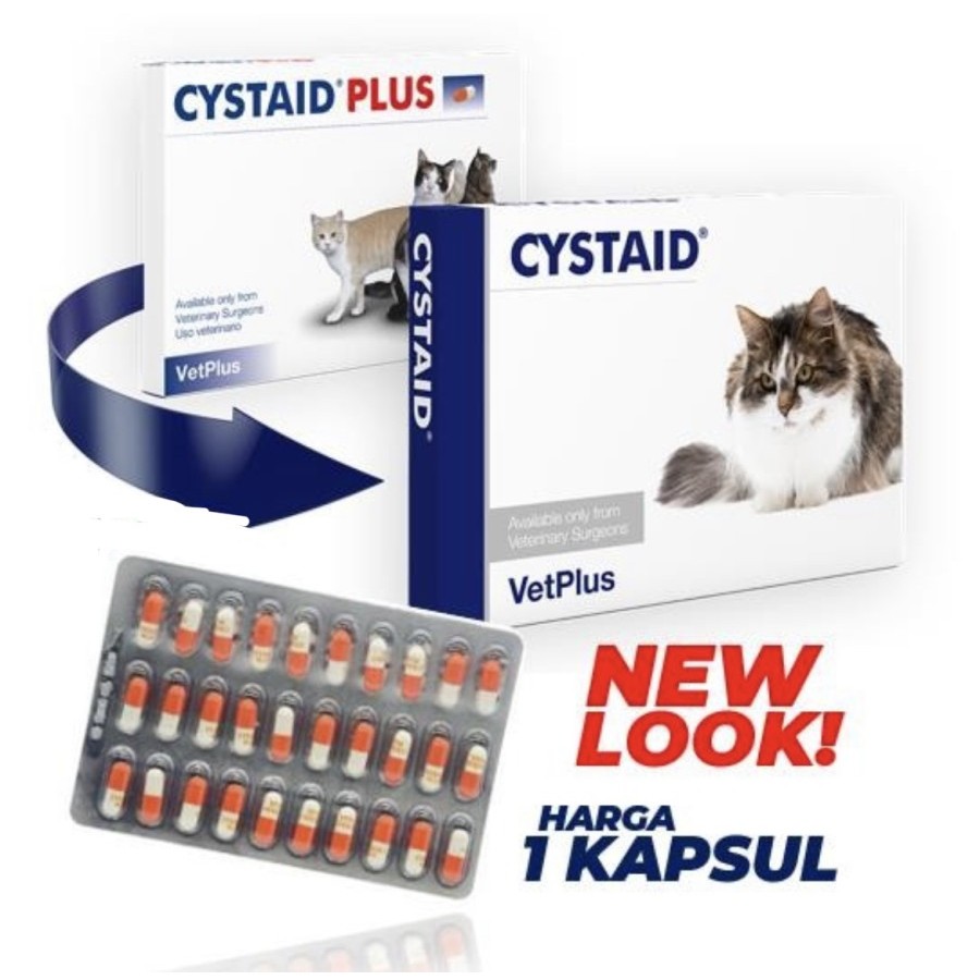 Jual Cystaid Plus 1 kapsul - obat untuk masalah saluran kencing - PSID7 ...