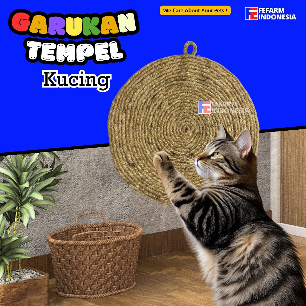 Jual Garukan Kucing Tempel Dinding Mainan kucing Cakaran Kuku Cat ...