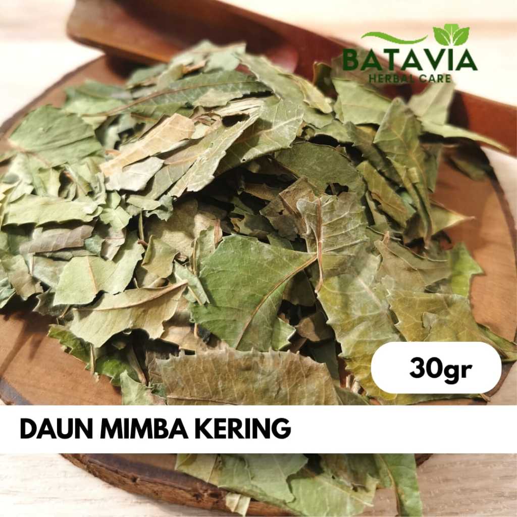 Jual Daun Mimba Kering Daun Intaran Neem Leaf Azadirachta indica Herbal ...
