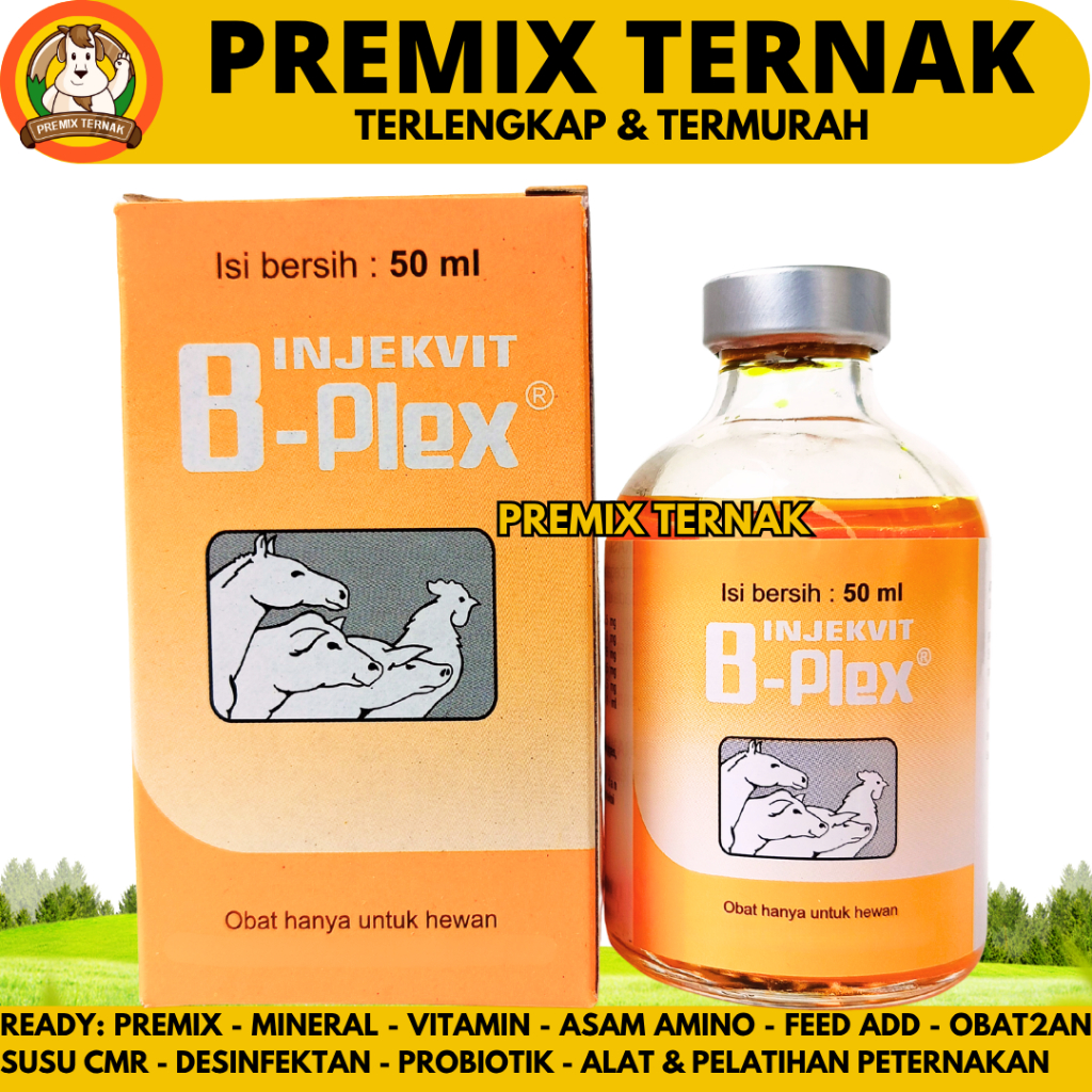 Jual INJEKVIT B PLEX B KOMPLEKS 50 ML - Vitamin B komplek Meningkatkan ...
