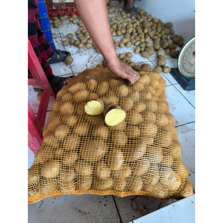 Jual Kentang 1 Kg Terlengkap & Harga Terbaru Oktober 2025 | Shopee ...