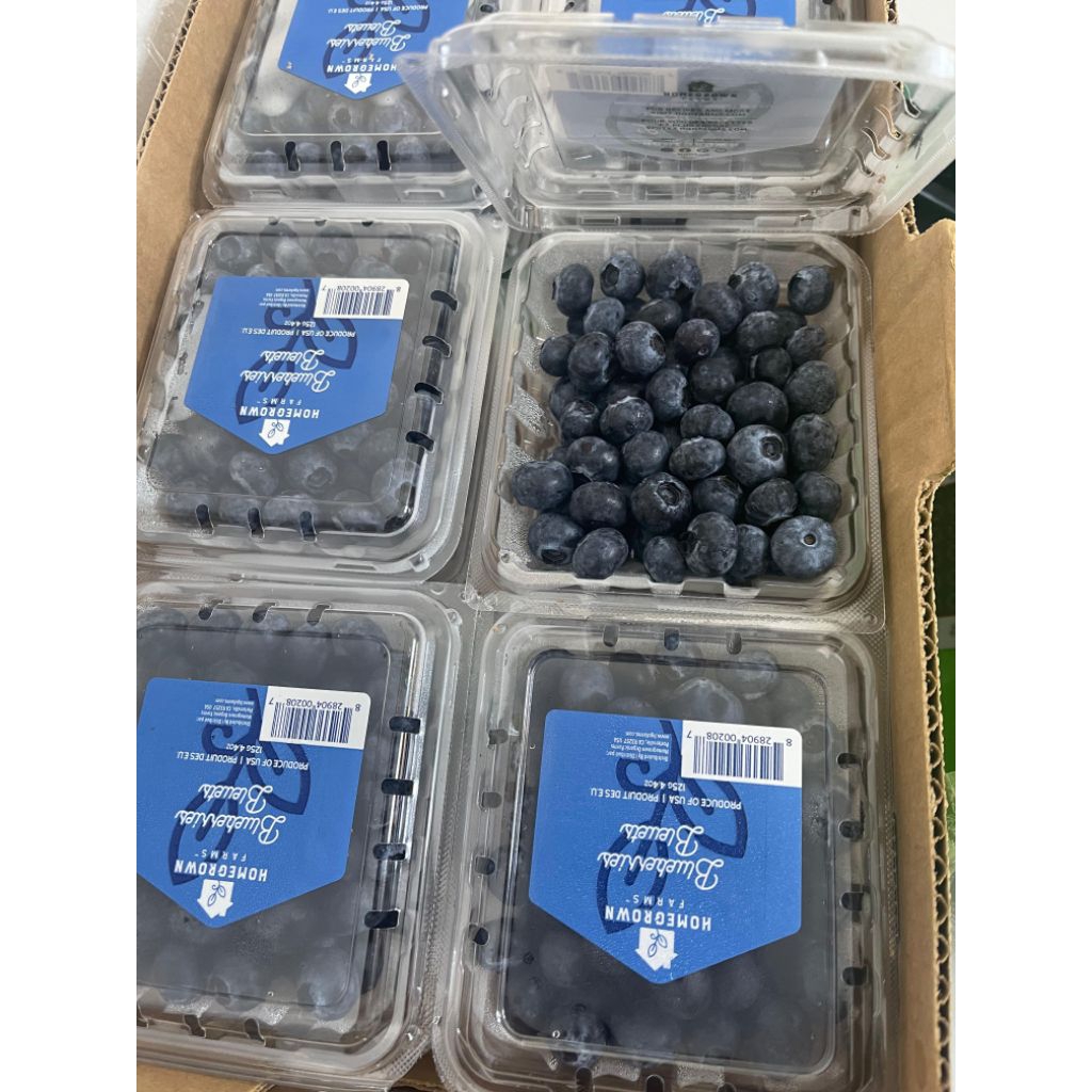 Jual Blueberry USA Fresh Pack | Shopee Indonesia