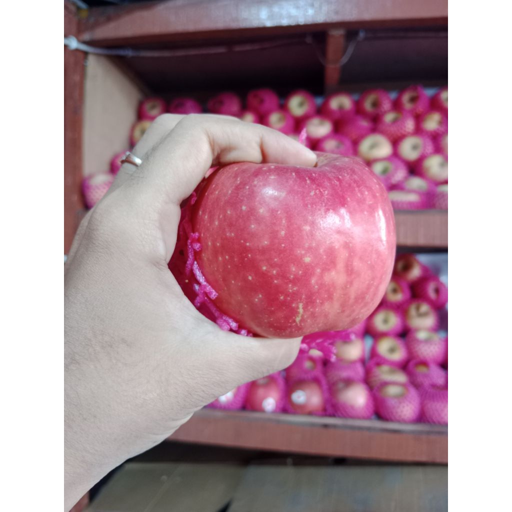 Jual Apel Fuji 1 kg | Shopee Indonesia