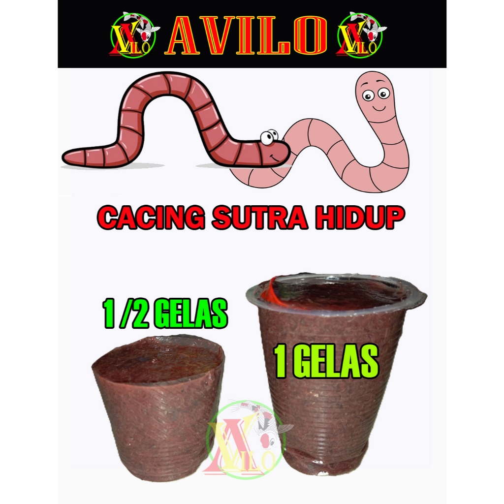 Jual OJEK INSTAN makanan pakan ikan hias cacing sutra hidup aquascape ...