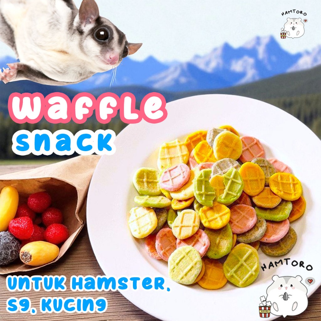 Jual Hamtoro Waffle Snack Hamster, Sugar Glider / Makanan Hamster Buah ...