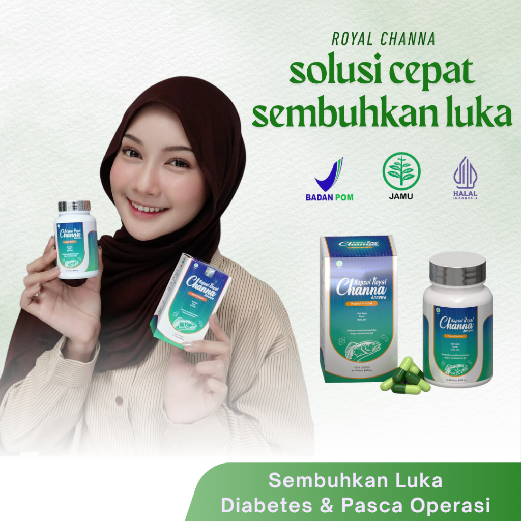 Jual ROYAL CHANNA Kapsul Ikan Gabus Pasca Operasi Pengering Penyembuhan ...