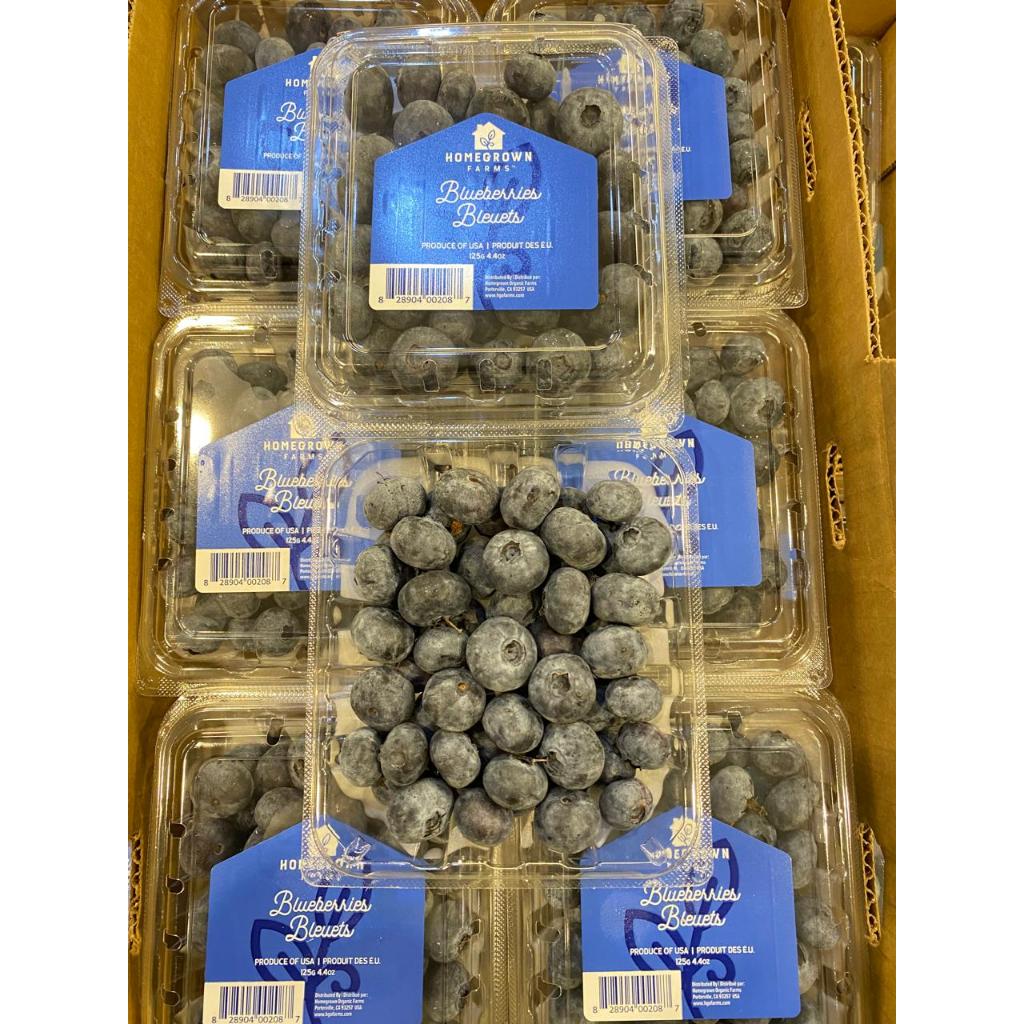 Jual Blueberry Usa (Pack) | Shopee Indonesia